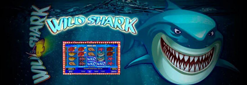 Wild shark slot mashine - play for real for real money or free